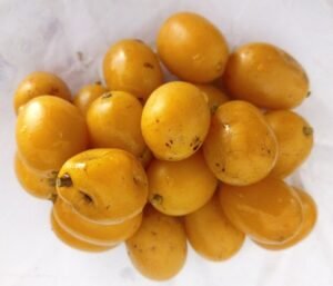 Taperebá, uma fruta especial da Amazônia