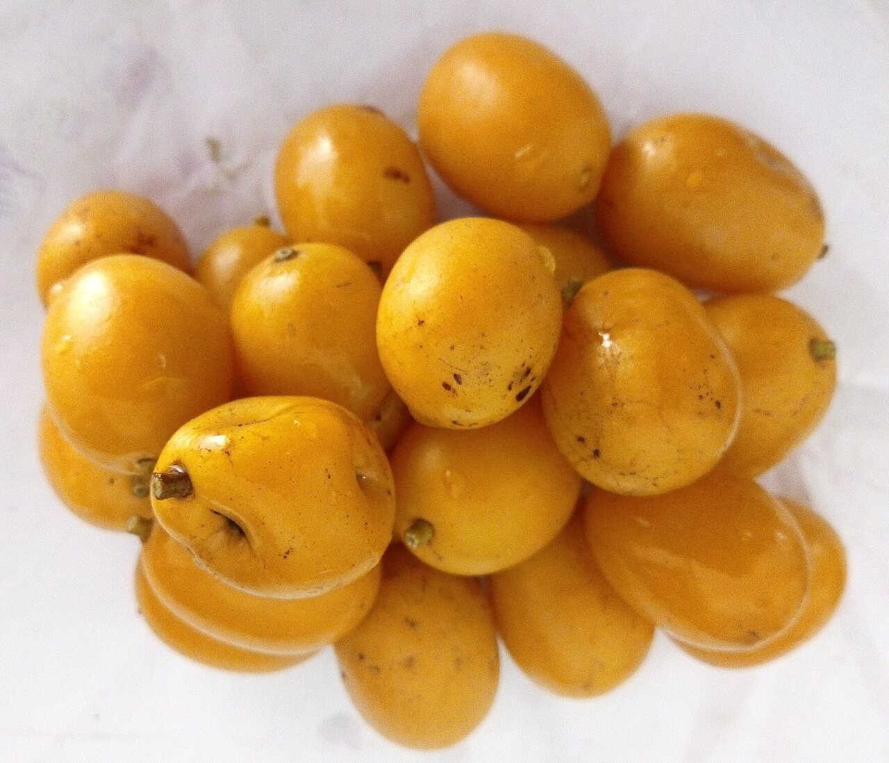 Taperebá, uma fruta especial da Amazônia