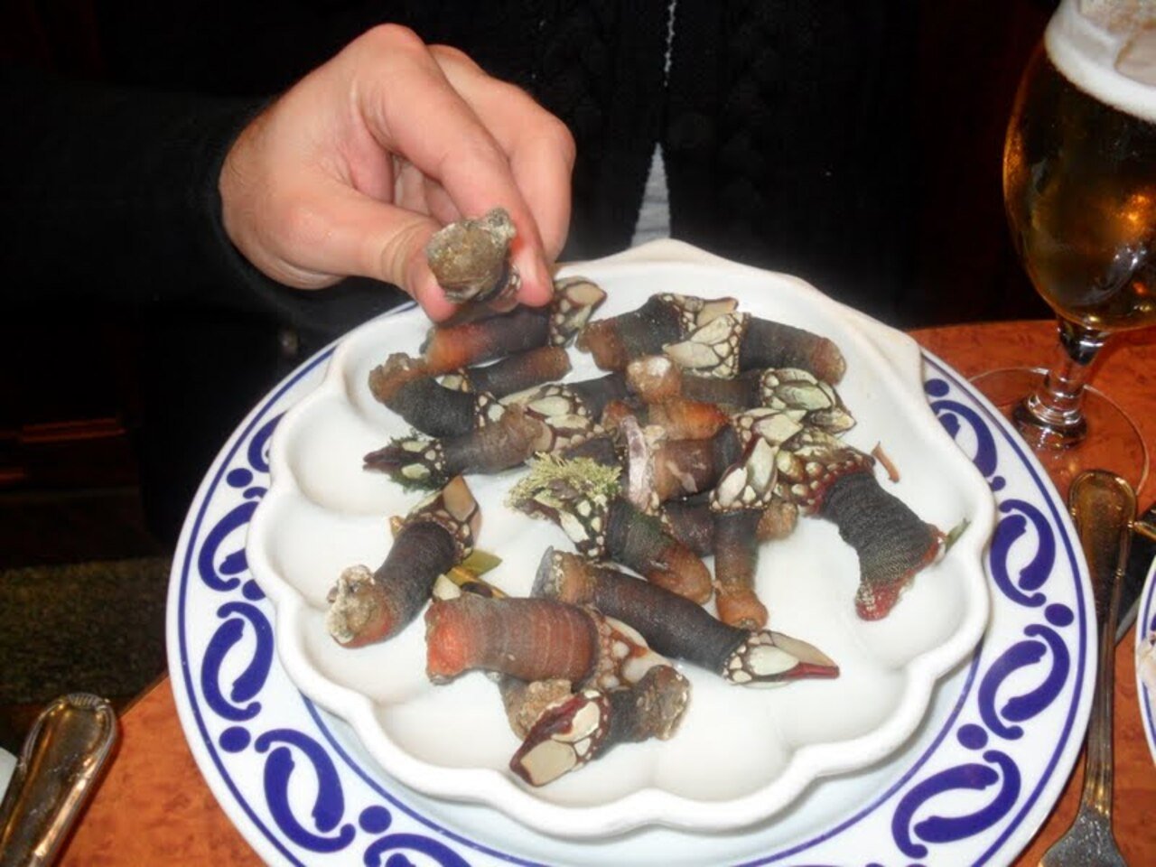 Percebes: o crustáceo com fama de afrodisíaco