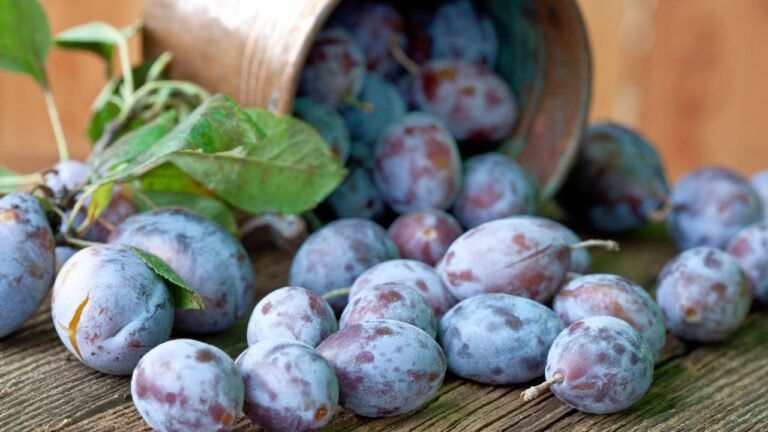 Ameixa: qualidades nutricionais e os benefícios da fruta para a saúde ...