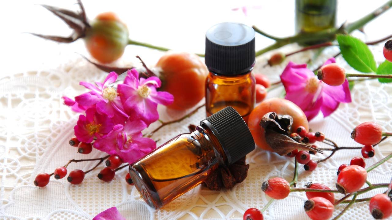 Do cabelo à unha: saiba os benefícios do óleo de rosa mosqueta ...