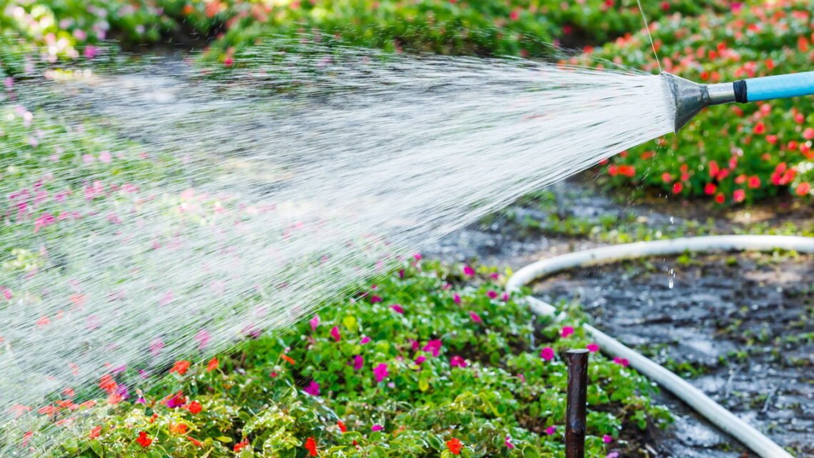 Como criar um sistema de irrigação automática caseiro e sustentável