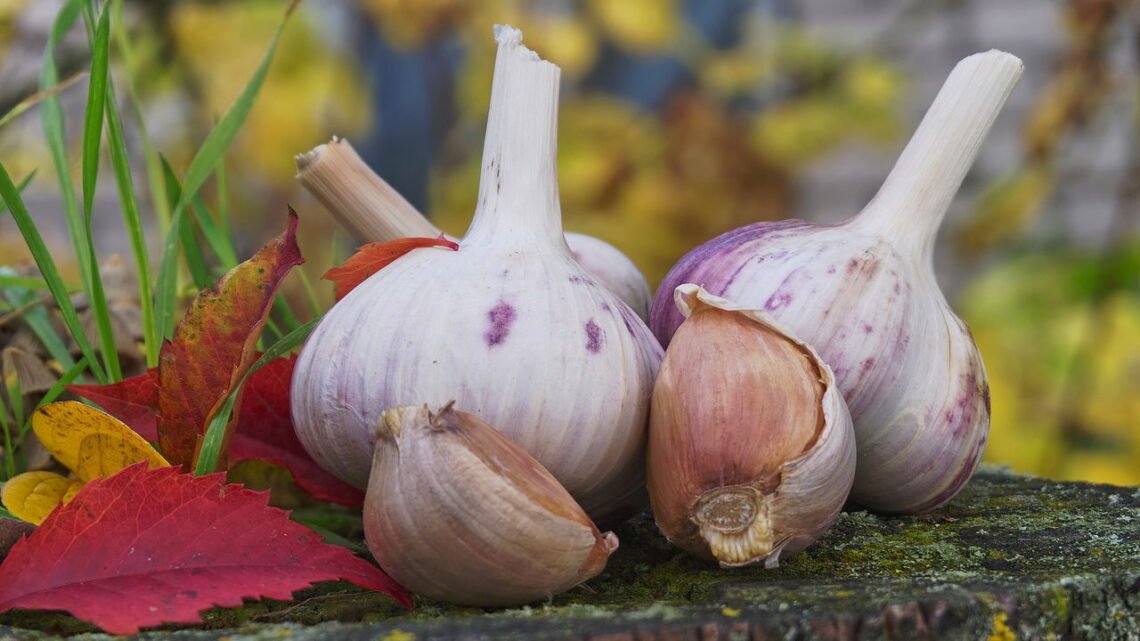 Este ingrediente simples pode ser o segredo natural contra pressão alta ...