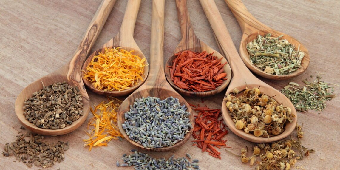 Como cultivar um jardim de ervas aromáticas e medicinais em casa
