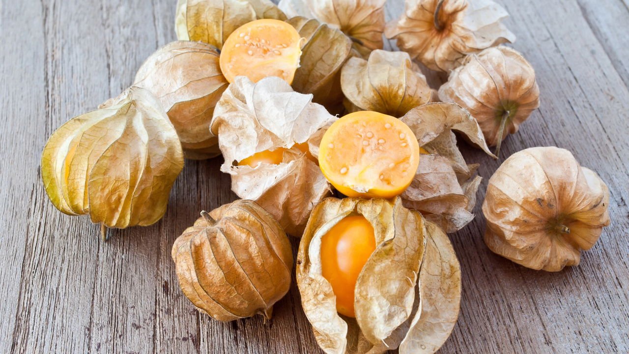 Cultivar physalis em casa é mais fácil do que você imagina