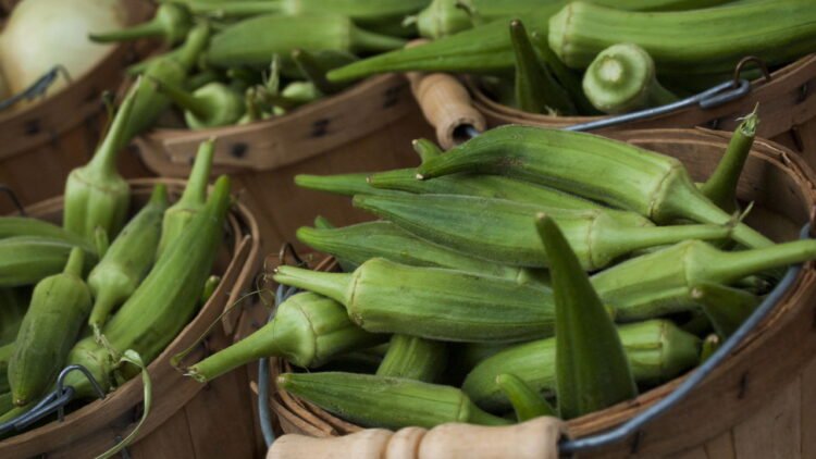Conheça os benefícios do quiabo e como cultivar na sua horta