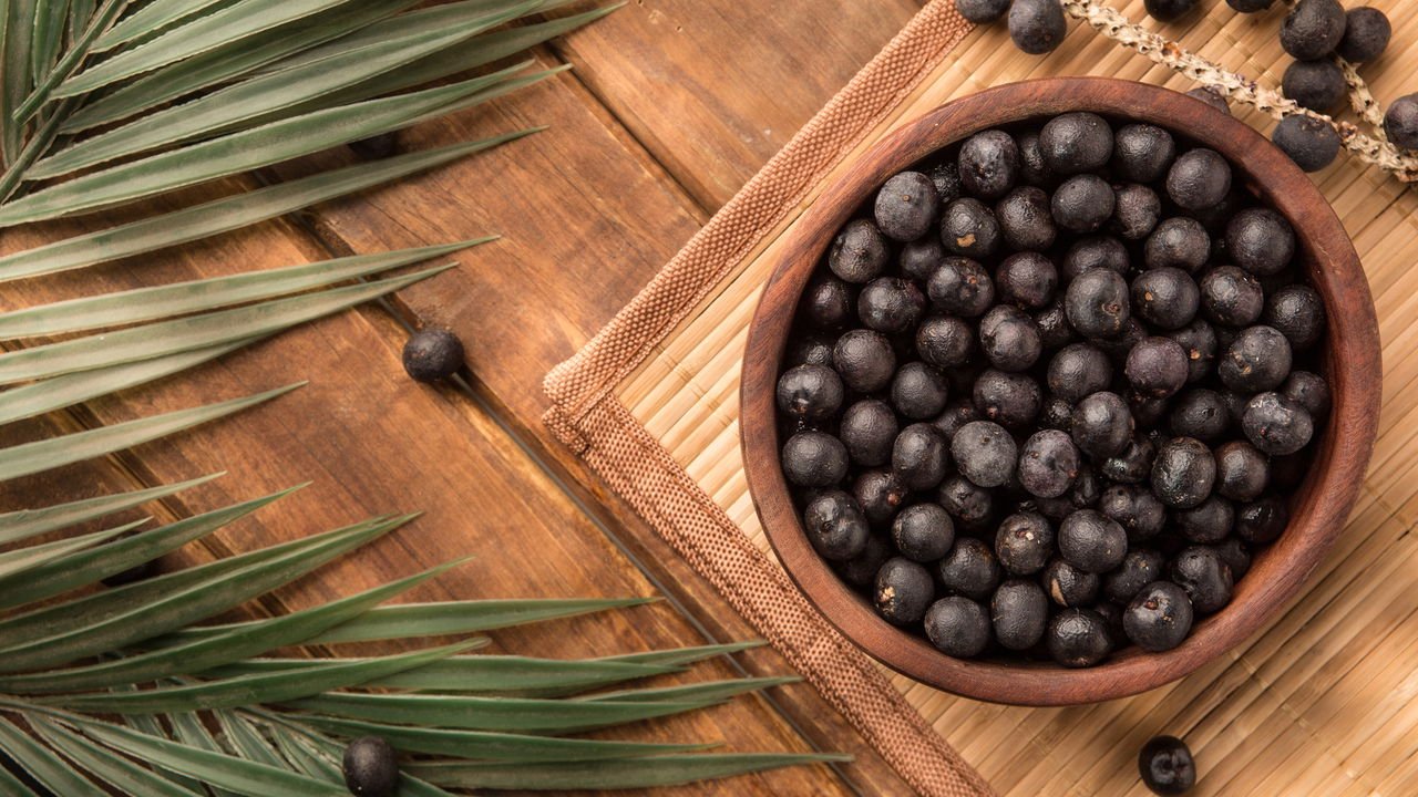 Quer ter açaí em casa? Confira as dicas para cultivar com sucesso