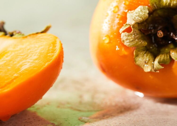 O que significa "Audaces fortuna juvat", que sugere encarar o destino