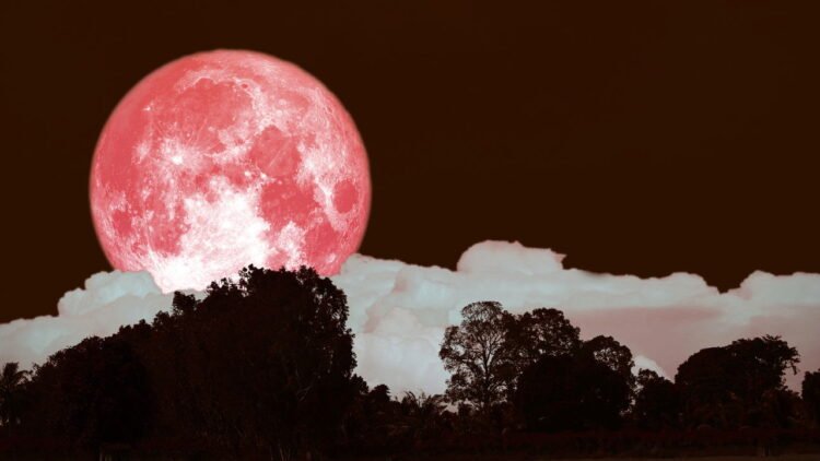 Saiba como assistir o fenômeno da Lua Rosa neste domingo