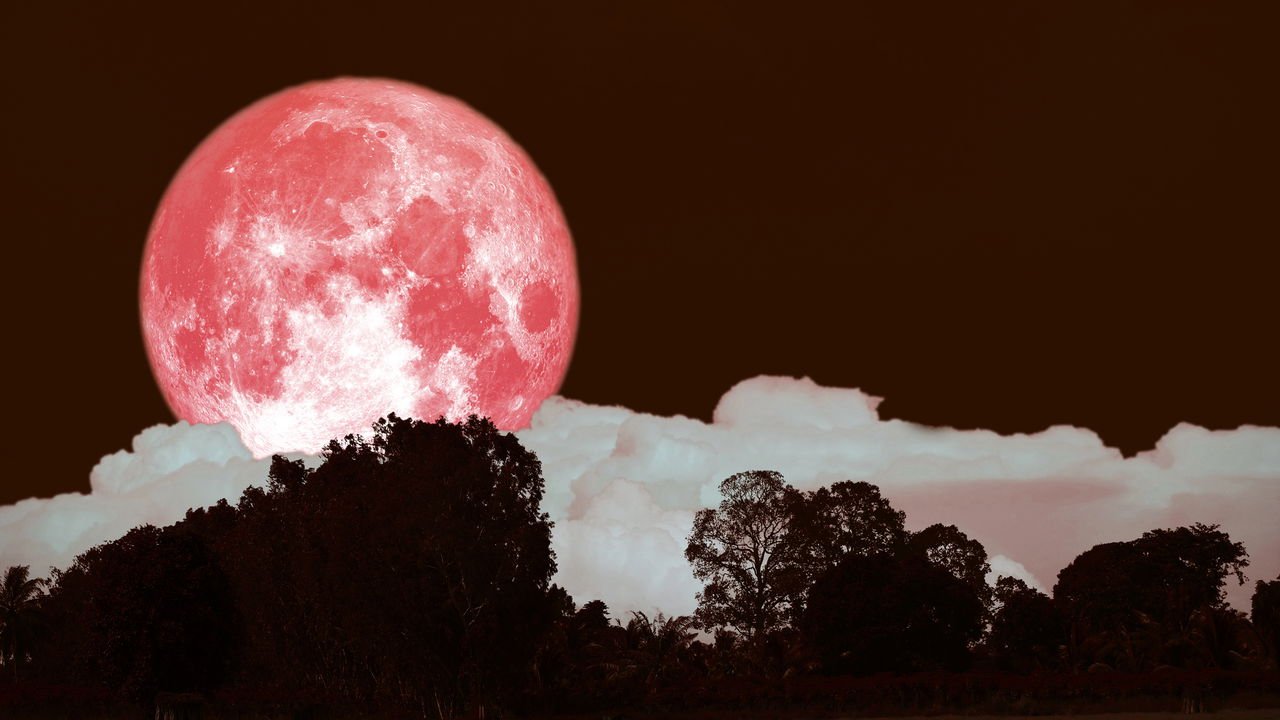 Saiba como assistir o fenômeno da Lua Rosa neste domingo