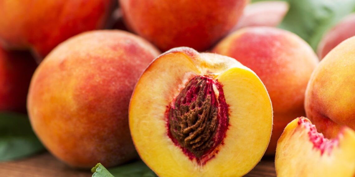 Este fruto delicioso e suculento protege suas células e fortalece a ...