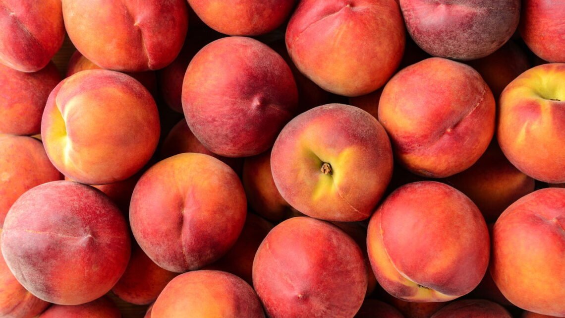 Quer colher pêssegos em casa? Veja como começar do zero