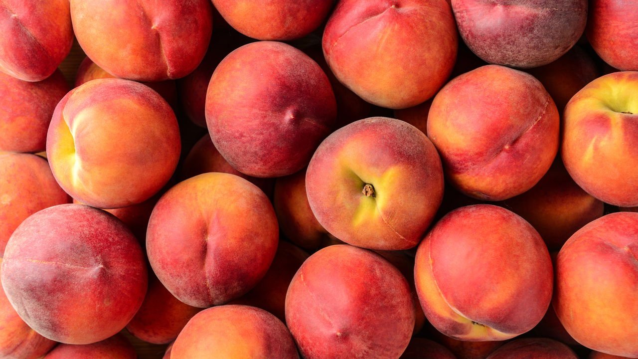Como plantar pêssego em casa e colher frutas doces e frescas