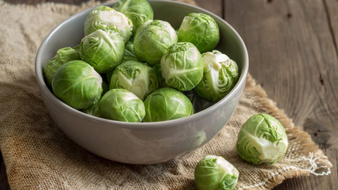 Quer cultivar couve-de-bruxelas em vaso? Veja o que fazer para ter sucesso