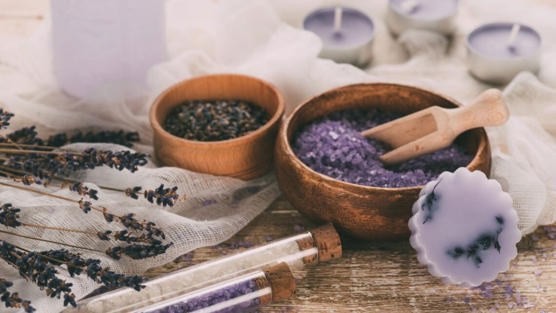 Quando e como regar lavanda para garantir crescimento saudável