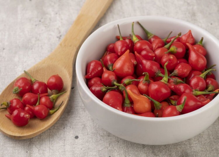 Essa cidade oferece quase 400 mil para brasileiros irem morar lá