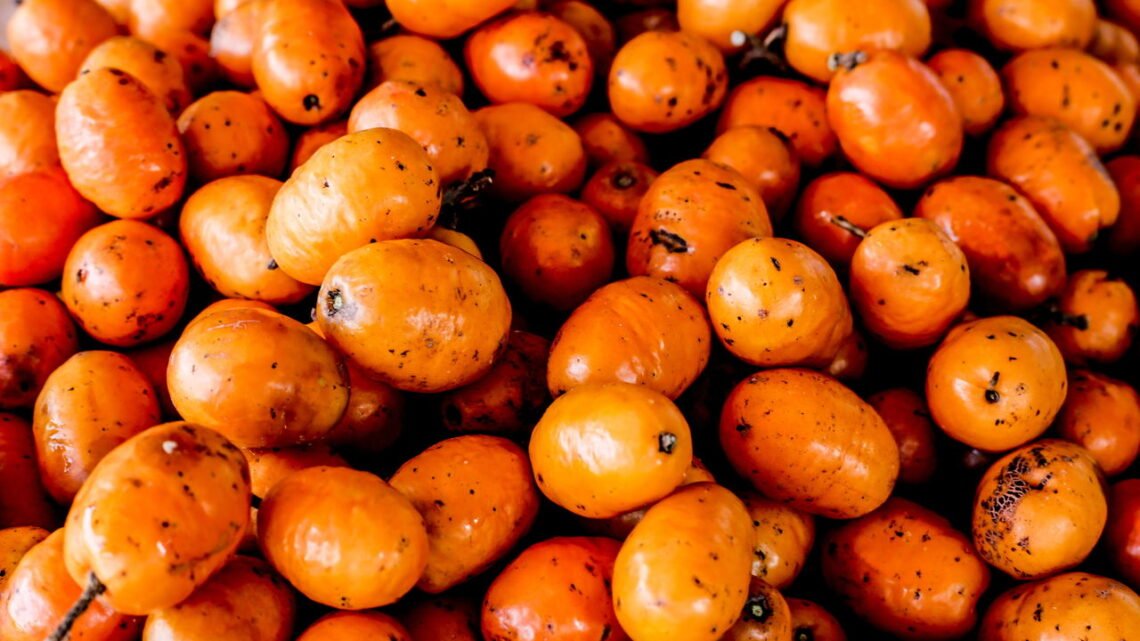 A fruta brasileira mais poderosa da natureza para imunidade, pele e ...
