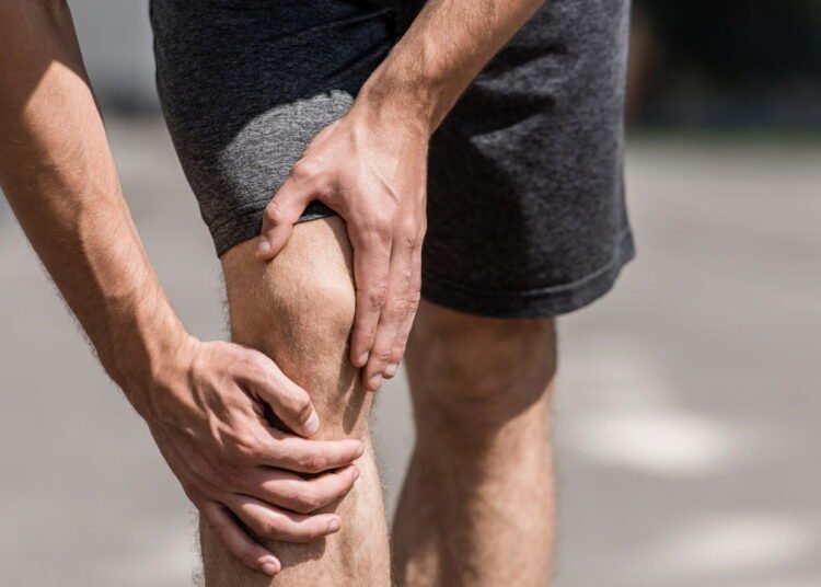 Barata morde? Veja os Efeitos na pele e como se proteger - Correio ...