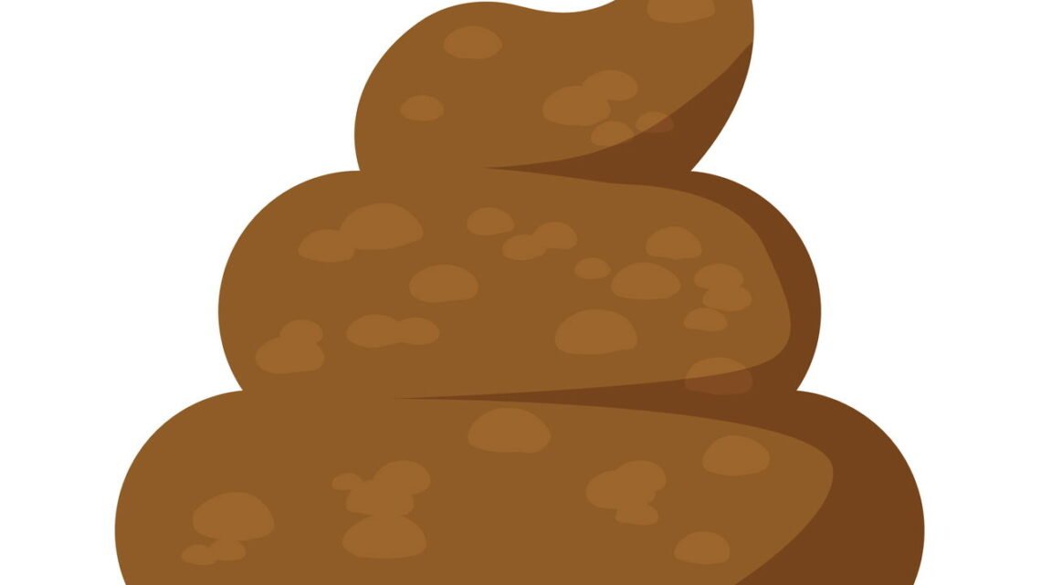 O que a cor das Fezes revela sobre sua saúde - Correio Braziliense - Radar