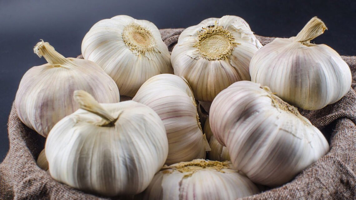 Alho cru todos os dias? Veja o que a ciência descobriu para sua saúde