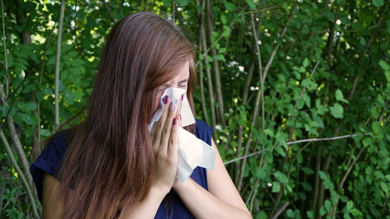 Afinal, engolir Catarro faz bem ou mal à saúde? - Correio Braziliense ...