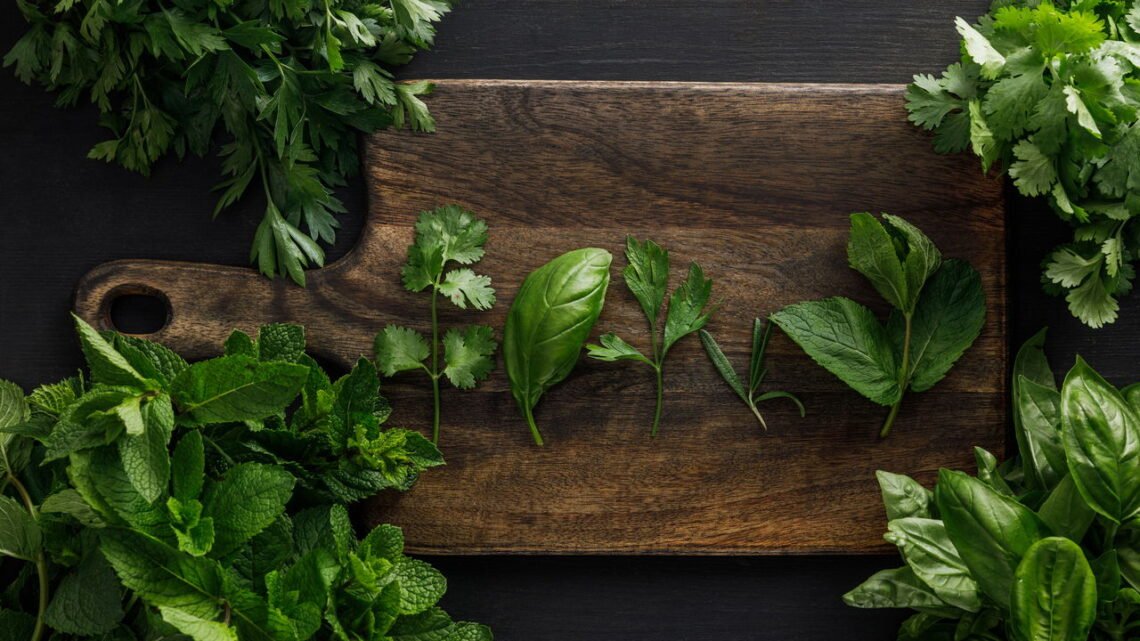 Os temperos mais fáceis de cultivar em casa que todos adoram - Correio ...