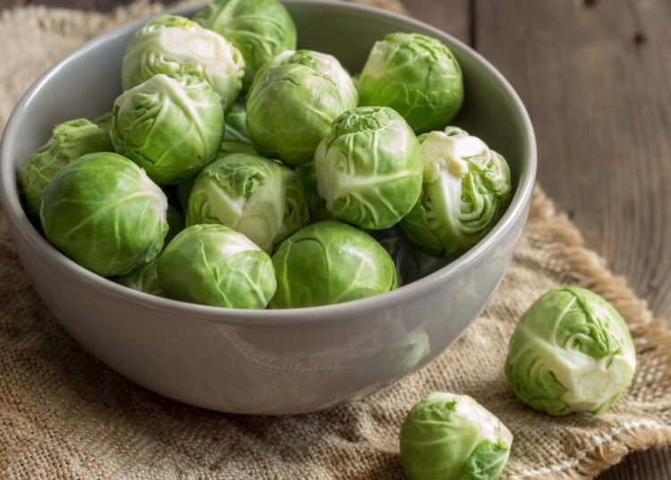 Passo a passo para cuidar da guariroba e garantir boa colheita