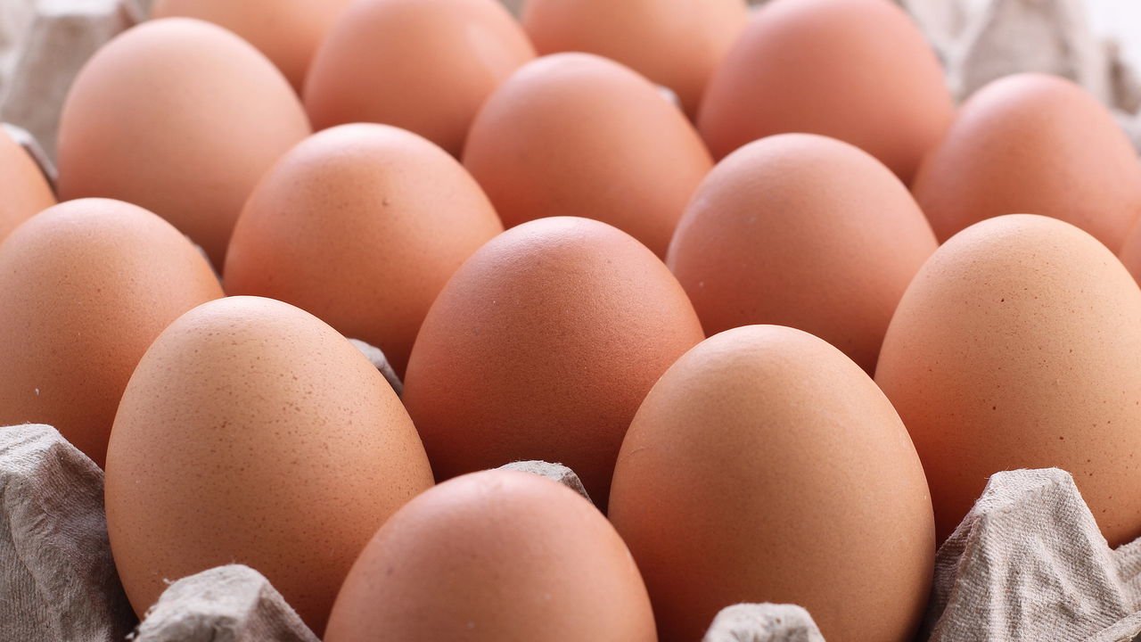 Poucos sabem: qual a diferença entre ovos brancos e marrons