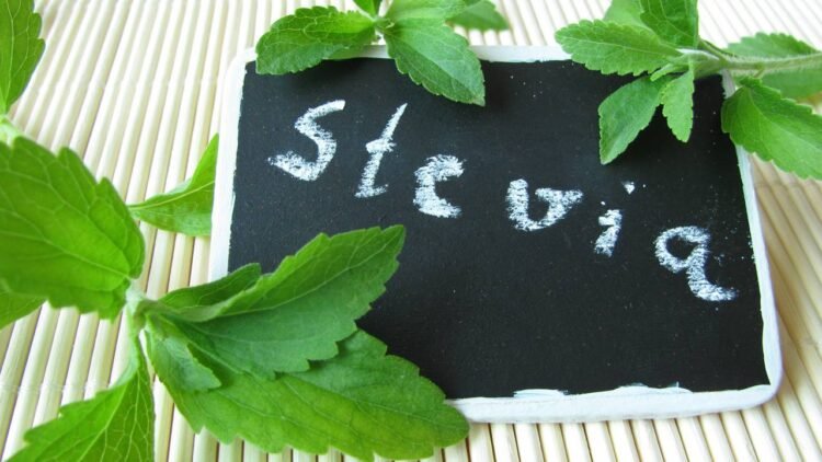 O poder da stevia surpreende quem busca vida saudável - Correio ...