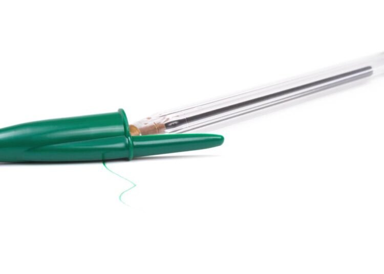 Barata morde? Veja os Efeitos na pele e como se proteger - Correio ...