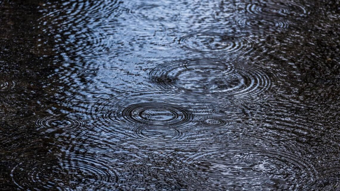 Por que sentimos o cheiro da chuva? Entenda o petricor - Correio ...