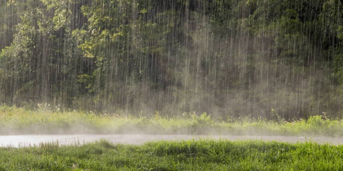O verdadeiro motivo por que sentimos o cheiro da chuva antes dela cair
