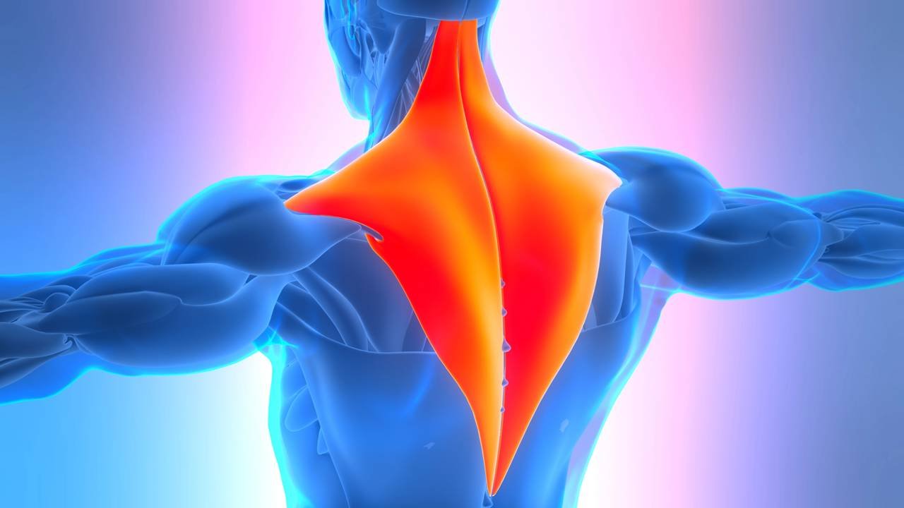 O exercício simples que alivia tensão no trapézio em menos de 3 minutos ...