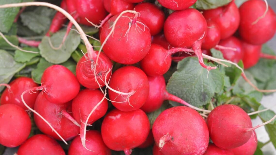 O vegetal fresquinho que muita gente usa para leveza e que você colhe ...
