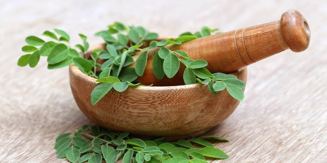 Para que serve a moringa e como usar com segurança - Correio ...