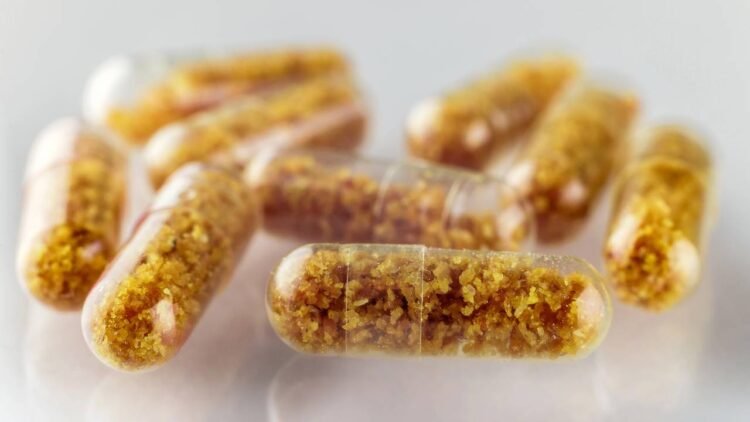 Como kefir, iogurte e chucrute ajudam a equilibrar a flora intestinal e ...